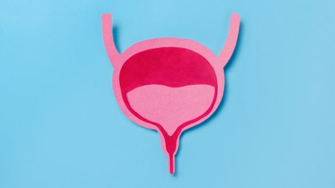 MSD: CHMP Recomienda KEYTRUDA y Padcev en Cáncer Vejiga